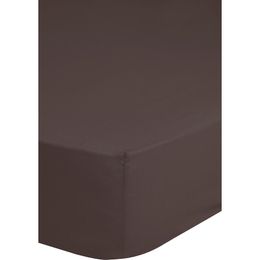 HIP Spannbettlaken &raquo; in Gr. 90x200, 140x200 oder 180x200 cm&laquo; 100% Baumwolle, Mako-Satin, Rundumgummi, bis 25 cm H&ouml;he braun Satin, Obermaterial: 100% 