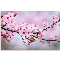 Artland Wandbild &raquo;Kirschbl&uuml;ten&laquo; Blumen 1 Stk. tlg. als Alubild, Leinwandbild, Poster in verschied. Gr&ouml;&szlig;en pink B/H/T: 60cm x 40cm, Leinwandbild Blumen 