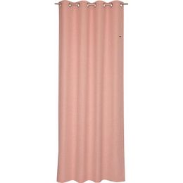 Esprit Vorhang &raquo;Harp&laquo; &Ouml;sen 1 Stk. tlg. HxB: 250x140, Blickdicht, mit Lederlabel, (BxH) 140 x 250 cm rosa Microfaser, Polyester 250cm, &Ouml;sen, 140cm