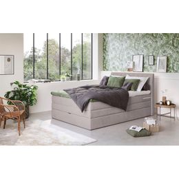 COTTA Boxspringbett &raquo;Shark inkl. Bettkasten und Topper&laquo; erh&auml;ltlich in den Breiten 140x200cm, 160x200cm und 180x200cm grau 100% POLYESTER (PES) 