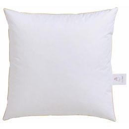 Frau Holle Federkissen &raquo;&laquo; F&uuml;llung: 85Gaensefedern15Gaensedaunen 1 Stk. tlg. Kopfkissen 40x80 cm, 80x80cm, fest wei&szlig; Bezug: 100% Baumwolle. F&uuml;llung: 85% 