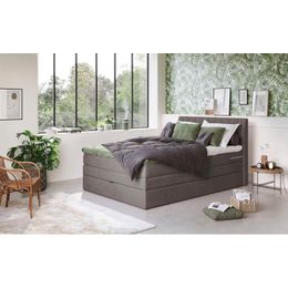 COTTA Boxspringbett &raquo;Shark inkl. Bettkasten und Topper&laquo; erh&auml;ltlich in den Breiten 140x200cm, 160x200cm und 180x200cm braun 100% POLYESTER (PES) 