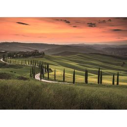 Livingwalls living walls Fototapete &raquo;Designwalls Tuscany 2&laquo; glatt Vlies, Wand, Schr&auml;ge, Decke bunt Vlies B/L: 3,5m x 2,55m