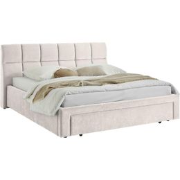 Meise M&ouml;bel meise.m&ouml;bel Polsterbett &raquo;Canyon, Breite 180cm, erh&auml;ltlich in grau oder beige&laquo; inkl. Schubkasten im Fu&szlig;teil - ideal als Hundebett nutzbar beige 