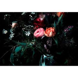 Komar Fototapete &raquo;Still Life - Gr&ouml;&szlig;e 368 x 254 cm&laquo; bedruckt glatt Wohnzimmer, Schlafzimmer bunt Papier B/L: 368m x 254m, Rollen: 8