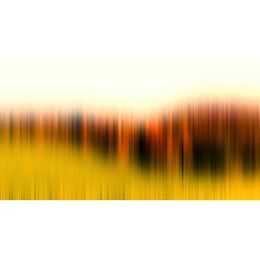 ARCHITECTS PAPER Fototapete &raquo;Atelier 47 Diffused Tree Row 2&laquo; abstrakt glatt Vlies, Wand, Schr&auml;ge, Decke bunt Vlies B/L: 5m x 2,7m