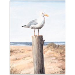 Artland Wandbild &raquo;M&ouml;we&laquo; V&ouml;gel 1 Stk. tlg. als Alubild, Leinwandbild, Poster in verschied. Gr&ouml;&szlig;en wei&szlig; B/H/T: 90cm x 120cm, Alu-Dibond-Druck V&ouml;gel, 1 Stk.