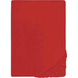 Biberna Spannbettlaken &raquo;THEA Baumwoll-Jersey mit Elasthan, 160 g/m&sup2;&laquo; Bettlaken f&uuml;r Matratzen bis 25 cm H&ouml;he, pflegeleicht, b&uuml;gelfrei rot Jersey-Elasthan, 