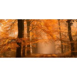 ARCHITECTS PAPER Fototapete &raquo;Fantastic Forest&laquo; Vlies, Wand, Schr&auml;ge orange Vlies B/L: 5m x 2,5m