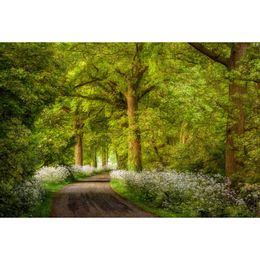 ARCHITECTS PAPER Fototapete &raquo;Cow Parsley&laquo; Vlies, Wand, Schr&auml;ge bunt Vlies B/L: 4m x 2,7m