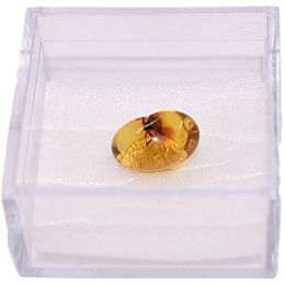 Firetti Dekofigur &raquo;Schmuck Geschenk Farbstein Edelstein Bernstein mit Insekt, Lupe&laquo; mit Zirkonia (synth.) braun B/H/T: 2,5cm x 2,5cm x 2,5cm