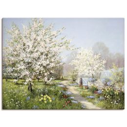 Artland Wandbild &raquo;Fr&uuml;hlingsbl&uuml;ten&laquo; Wiesen & B&auml;ume 1 Stk. tlg. als Leinwandbild, Poster in verschied. Gr&ouml;&szlig;en gr&uuml;n Leinwand B/H/T: 120cm x 90cm, Leinwandbild 