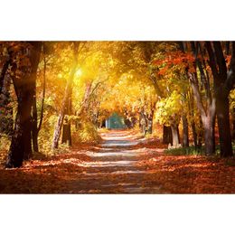 papermoon Fototapete &raquo;Alley in the Autumn Park&laquo; glatt bunt Vlies B/L: 2,5m x 1,86m, Bahnen: 5 Stk.
