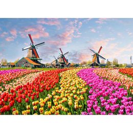 Livingwalls living walls Fototapete &raquo;Designwalls Zaanse Schans&laquo; glatt Vlies, Wand, Schr&auml;ge, Decke bunt Vlies B/L: 3,5m x 2,55m