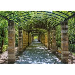 papermoon Fototapete &raquo;Garden of Athens&laquo; glatt bunt Vlies B/L: 2m x 1,49m, Bahnen: 4 Stk.