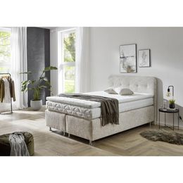 Westfalia Schlafkomfort Boxspringbett &raquo;Sapporo&laquo; Inkl. Zierkissen, w&auml;hlbar in H2, H3 & H4 beige Chenille Ohne Topper, Liegefl&auml;che B/L: 140cm x 200cm, Gewicht bis: 100 kg H3, 5