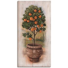 Artland Leinwandbild &raquo;Orangenbaum mit Holzoptik&laquo; B&auml;ume 1 Stk. tlg. auf Holzrahmen gespannt gr&uuml;n Leinwand B/H/T: 50cm x 100cm, Leinwandbild B&auml;ume quadratisch, 