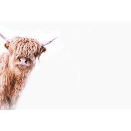 Livingwalls living walls Fototapete &raquo;ARTist Highland Cattle&laquo; Vlies, Wand, Schr&auml;ge braun Vlies B/L: 4m x 2,7m