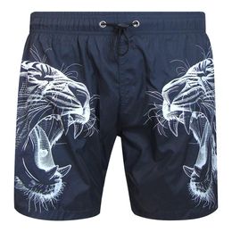 Plein Sport Badeshorts in Marineblau