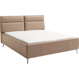 Home Affaire Polsterbett &raquo;Cozy Town&laquo; inkl. 7-fache Einlegetiefenverstellung & saugroboterfreundliche H&ouml;he beige 100% Leder Liegefl&auml;che L&auml;nge B: 200cm 