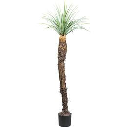 Creativ green Kunstpflanze &raquo;Yucca Rostrata&laquo; mit au&szlig;ergew&ouml;hnlichem Stamm gr&uuml;n B/H/L: 150cm, 1 Stk.