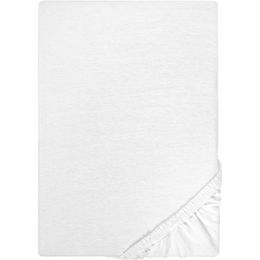 Spannbettlaken &raquo;Jersey-Kids&laquo; mit Rundumgummizug wei&szlig; Jersey, Obermaterial: 100% Baumwolle B/L: 70cm x 140cm, 1 Stk., Jersey, 70x140 22cm