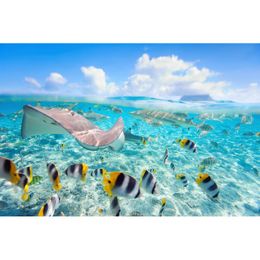 papermoon Fototapete &raquo;UNTERWASSER-WELT-FISCHE KORALLE SEE MEER TIERE OZEAN&laquo; bunt Vlies B/L: 2,5m x 1,86m, Bahnen: 5 Stk.
