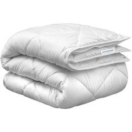 Schiesser 4-Jahreszeitenbett &raquo;Lykke - 2 zusammenkn&ouml;pfbare Steppdecken f&uuml;r Sommer und Winter&laquo; 4-Jahreszeiten 1 Stk. tlg. STANDARD 100 by OEKO-TEX zertifiziert 