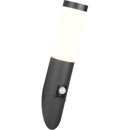 Trio Leuchten Au&szlig;en-Wandleuchte &raquo;TrioTO, Outdoor Wandlampe Edelstahl, Wandfackel exkl 1x E27 max 25W&laquo; E27 1 Stk. warmwei&szlig; - kaltwei&szlig; r&ouml;hrenf&ouml;rmige 
