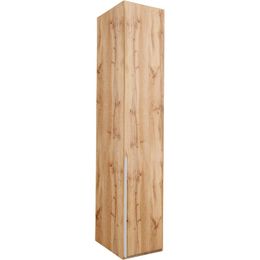 wimex Kleiderschrank &raquo;New York&laquo; in vielen Breiten, 208 oder 236cm hoch braun B/H/T: 45cm x 236cm x 58cm, T&uuml;ren: 1 Stk.