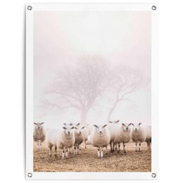 Reinders Poster &raquo;Schafe im Nebel&laquo; Outdoor f&uuml;r Garten oder Balkon beige Leinwand B/H/T: 60cm x 80cm x 0,1cm