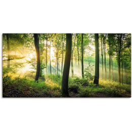 Artland Wandbild &raquo;Herbst im Wald II&laquo; Waldbilder 1 Stk. tlg. als Alubild, Leinwandbild, Poster in verschied. Gr&ouml;&szlig;en gr&uuml;n B/H/T: 60cm x 30cm, Leinwandbild 