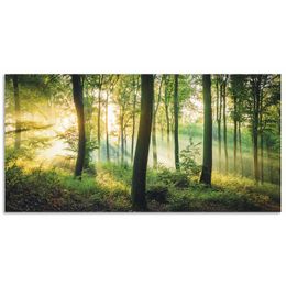 Artland Wandbild &raquo;Herbst im Wald II&laquo; Waldbilder 1 Stk. tlg. als Alubild, Leinwandbild, Poster in verschied. Gr&ouml;&szlig;en gr&uuml;n B/H/T: 60cm x 30cm, Alu-Dibond-Druck 
