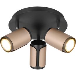 Trio Leuchten Deckenstrahler &raquo;GILLAN, Spot 3-flammig, exkl 3x GU10 max 10W, &Oslash; 30 cm H&ouml;he 16 cm&laquo; GU10 1 Stk. warmwei&szlig; - kaltwei&szlig; GU10 Deckenspot 3er 