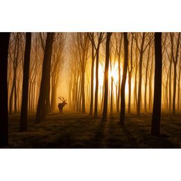 papermoon Fototapete &raquo;Photo-Art NAFETS NORIM, ES WAR EINMAL&laquo; bunt Vlies B/L: 3m x 2,23m, Bahnen: 6 Stk.