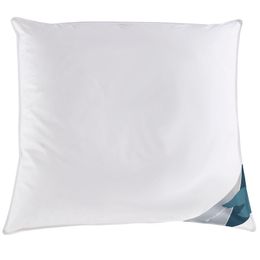 H&auml;ussling Federkissen &raquo;Kuscheltraum Kissen medium, in 40x80 & 80x80 cm&laquo; F&uuml;llung: 85% Federn, 15% Daunen 1 Stk. tlg. Kopfkissen mit Milbenbarriere &ndash; gepr&uuml;fter 