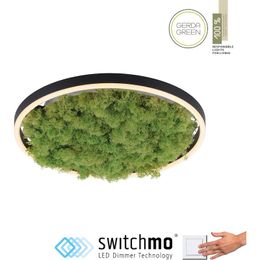 JUST LIGHT Deckenleuchte &raquo;GREEN RITU&laquo; LED-Board 1 Stk. Warmwei&szlig; gr&uuml;n 1, &Oslash; 39,3cm H: 5,3cm, 1 Stk.
