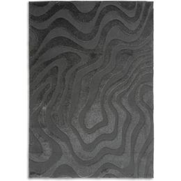 Sch&ouml;ner Wohnen Kollektion SCH&Ouml;NER WOHNEN-Kollektion Teppich &raquo;Blaze 251&laquo; rechteckig 28 mm H&ouml;he Indoor, pflegeleicht, verschiedene Formen, Hoch Tief Struktur Polyester B : 140cm 