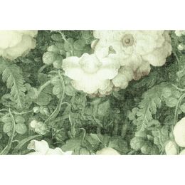 ARCHITECTS PAPER Fototapete &raquo;Atelier 47 Art Blossom 2&laquo; floral glatt Vlies, Wand, Schr&auml;ge, Decke gr&uuml;n Vlies B/L: 4m x 2,7m