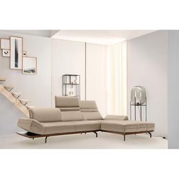 Creation BY ROLF BENZ Ecksofa &raquo;CR.420, Designecksofa, bequem, verstellbare R&uuml;ckenlehne, L-Form&laquo; in 2 Qualit&auml;ten, Holzrahmen in Eiche Natur oder 