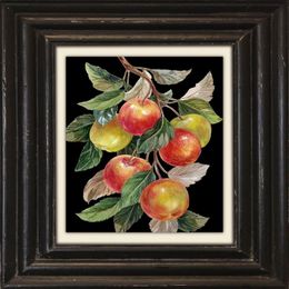 queence Leinwandbild &raquo;&Auml;pfel&laquo; Kunst Obst Obst Bilder Stillleben Premium-Leinwandstoff, Handarbeit aus Deutschland, 40x40cm rot Canvas, Holzrahmen B/H/T