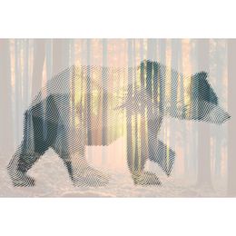 ARCHITECTS PAPER Fototapete &raquo;Atelier 47 Bear Forest 1&laquo; Wald glatt Vlies, Wand, Schr&auml;ge, Decke gelb Vlies B/L: 4m x 2,7m