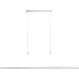 Paul Neuhaus LED Pendelleuchte &raquo;Adriana&laquo; LED-Board 1 Stk. Kaltwei&szlig; Neutralwei&szlig; Warmwei&szlig; CCT-Lichtmanagement; Touchdimmer; Touchschalter; H&ouml;henverstellbar grau 3, H