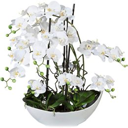 Creativ green Kunstorchidee &raquo;Phalaenopsisarrangement, 68cm weiss&laquo; in Keramikschale wei&szlig; Kunststoff B/H/L: 68cm, 1 Stk.
