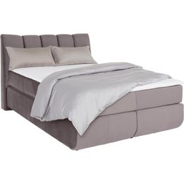 Home Affaire Boxspringbett &raquo;Oc&eacute;ane&laquo; Bodenfrei- wirkt freischwebend, verschiedene H&auml;rtegrade (auch H4) grau Polyester Velour VELVET Polyester Topper 