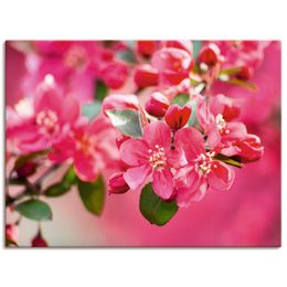 Artland Leinwandbild &raquo;Holzapfelbl&uuml;te 1&laquo; Blumen 1 Stk. tlg. auf Holzrahmen gespannt pink Leinwand B/H/T: 40cm x 30cm, Leinwandbild Blumen Querformat, 1 Stk.