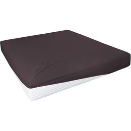 Primera Spannbettlaken &raquo;Elasthan-Feinjersey&laquo; PREMIUM, aus 95% gek&auml;mmter Baumwolle und 5% Elasthan, bis 28 cm H&ouml;he braun Jersey-Elasthan, Obermaterial: 95% 