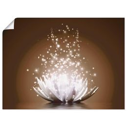 Artland Wandbild &raquo;Magie der Lotus-Blume&laquo; Blumen 1 Stk. tlg. als Leinwandbild, Poster in verschied. Gr&ouml;&szlig;en braun B/H/T: 60cm x 45cm, Poster Blumen Querformat, 