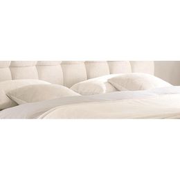 Hapo Dekokissen &raquo;NEYLA, 2er Kissenset, wahlweise in den Gr&ouml;&szlig;en: 40x40cm oder 60x40cm&laquo; Super Softflocken beige Faserb&auml;llchen (Polyester) B/L: 40cm x 