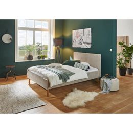 Meise M&ouml;bel meise.m&ouml;bel Polsterbett &raquo;Kreta&laquo; erh&auml;ltlich in den Breiten 140 & 180cm grau Liegefl&auml;che L&auml;nge B: 200cm x 140cm, Flausch, H&ouml;he Bettseite: 45cm, ohne 